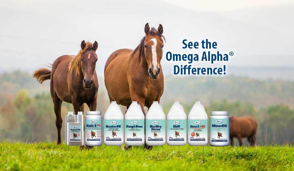 Shop – Omega Alpha Canada